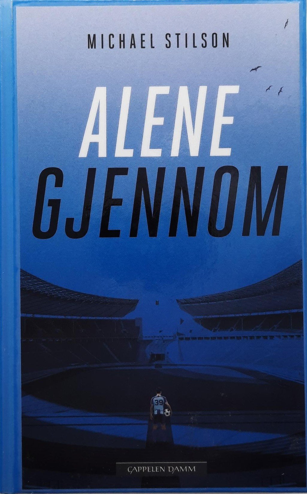 Michael Stilson - Alene gjennom - Barn og ungdom 13+ år - BokLibris AS